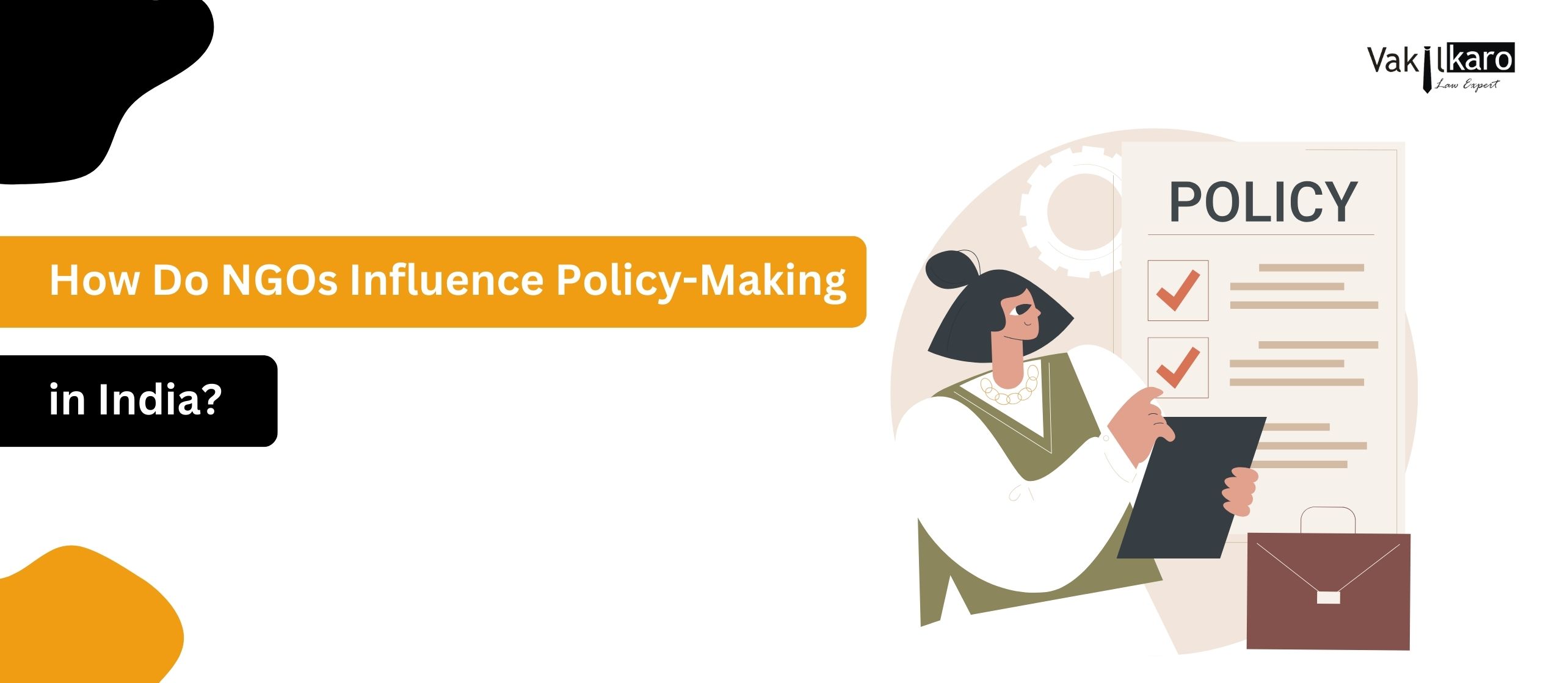 How Do NGOs Influence Policy-Making in India?