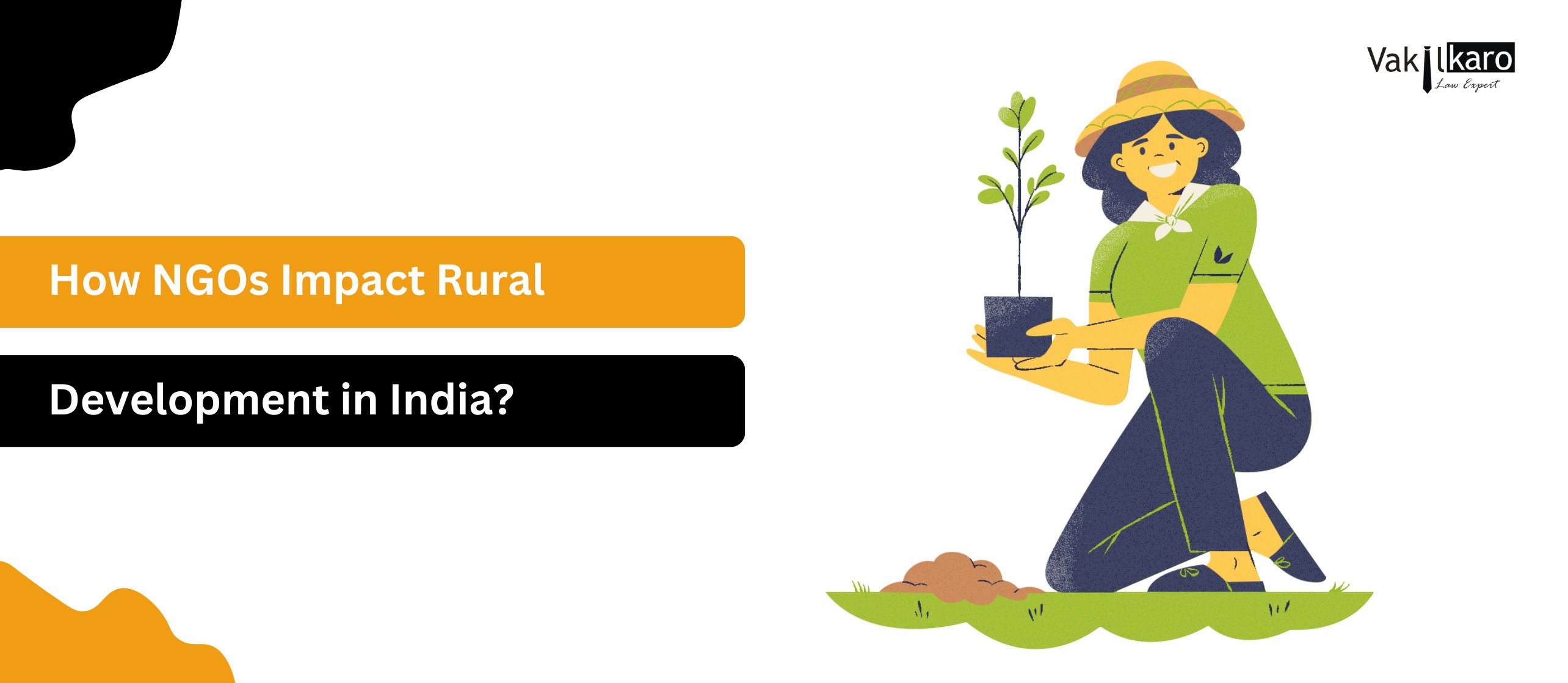 How NGOs Impact Rural Development in India?